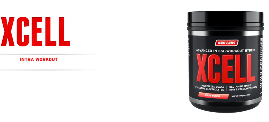 XCell 500 – NAR LABS, INC.